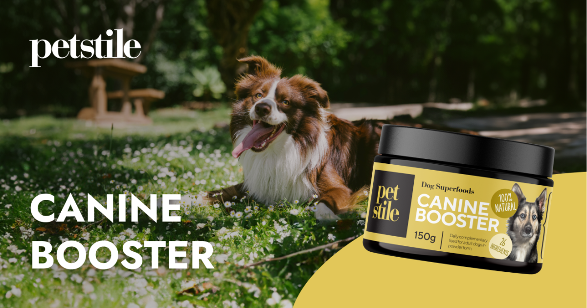 Canine Booster - Petstile