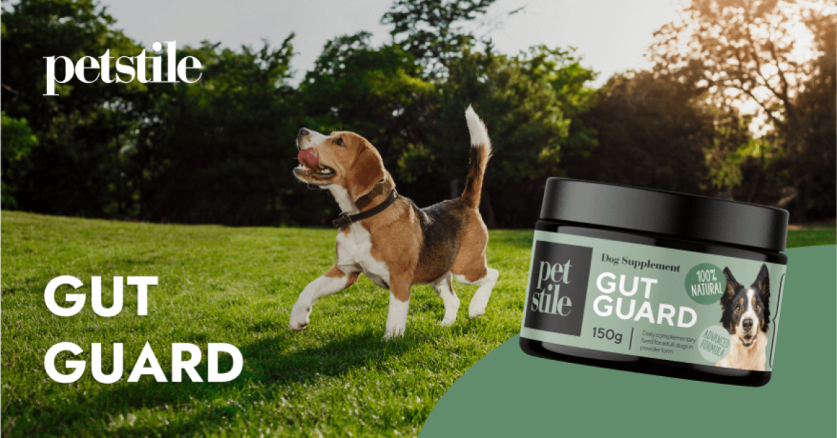 Gut Guard - Petstile