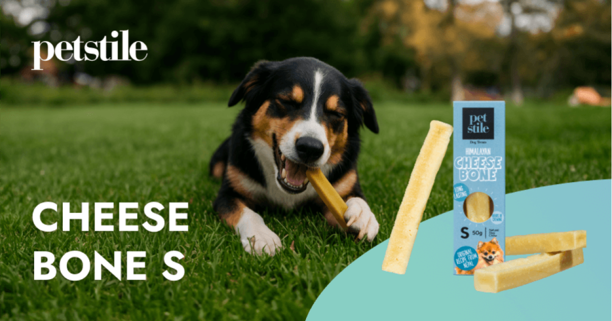 Cheese Bone - S - Petstile