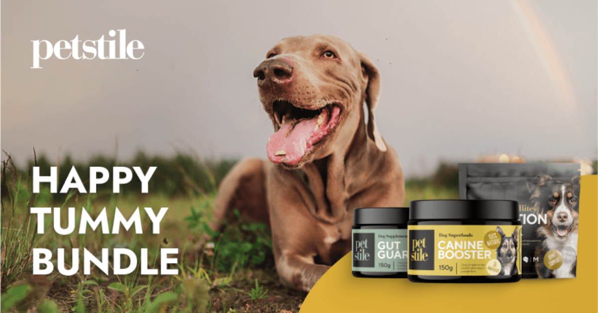 Happy Tummy Bundle - Petstile